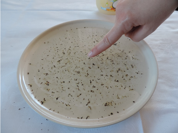 Streicht nun etwas Seife oder Spülmittel auf euren Finger und taucht ...